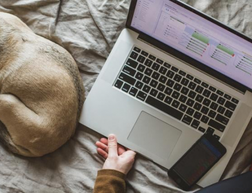 How does the TCF scoring system work? - GlobalExam Blog