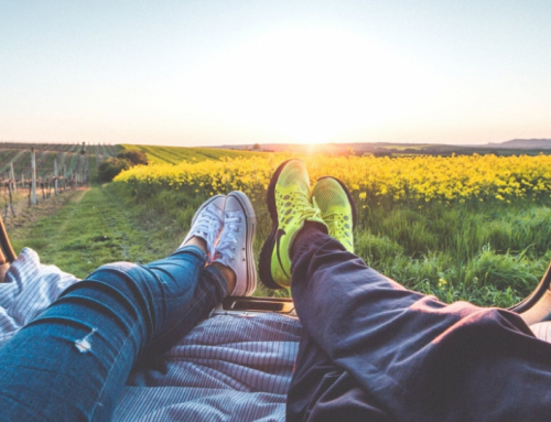 DELF or DALF: The CEFR Levels - GlobalExam Blog