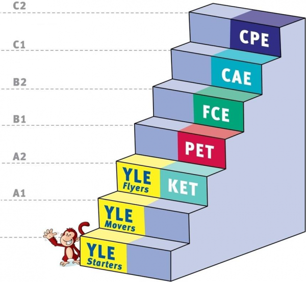 Cu les Son Los Niveles Del PET cu-les-son-los-niveles-del-pet